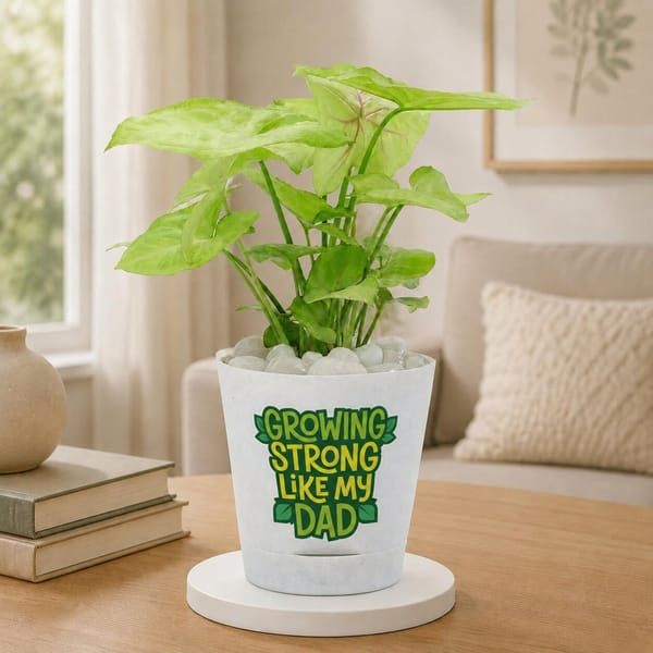 Growing Strong with Dad: Gift/Send Peripherals Gifts Online JVS1456752 ...