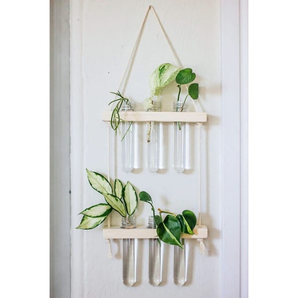 Buy/Send Hanging Planter - Glass Tubes - Wooden - Single Piece Online ...