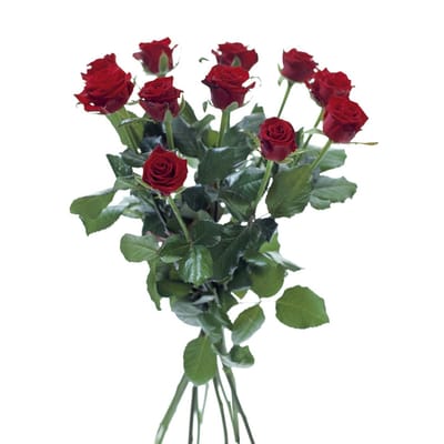 Buy/Send 12 Long Red Stem Roses Online | IGP | ID1357230