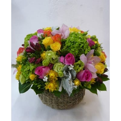 Buy/Send Cheers Online | IGP | ID1351901