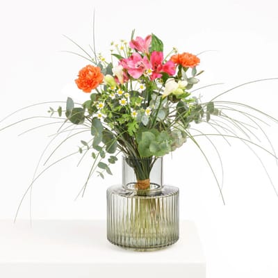 Buy/Send Dream of Spring Online | IGP | ID1439431