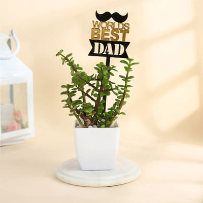 Buy/Send Father's Day World's Best Dad Jade Plant Online | IGP | JVS1223679