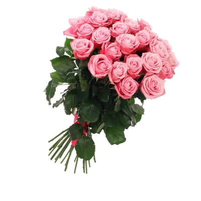 Buy/Send Flamingo Online | IGP | NID1317170