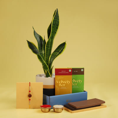 Green Positivity Rakhi Hamper: Gift/Send Single Pages Gifts Online ...