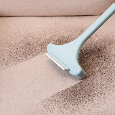 Buy/Send Multifunction Screen Duster - Single Piece Online | IGP ...