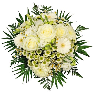 Nelly: Gift/Send Interflora Gifts Online ID1374953 |IGP.com