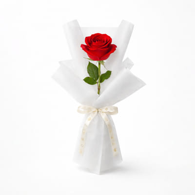 Buy/Send Red Rose Bouquet Online | IGP | JVS1439033