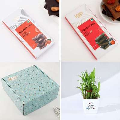 Sample Plant Hamper: Gift/Send Food Gifts Online JVS1417528 |IGP.com