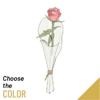 Buy/Send Single Rose Online | IGP | ID1193500