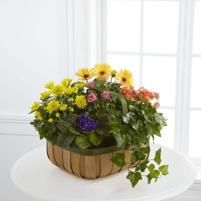 Buy/Send The FTD Gentle Blossoms Basket Online | IGP | ID1282226