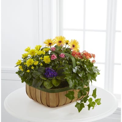 Buy/Send The FTD Gentle Blossoms Basket Online | IGP | ID1282232