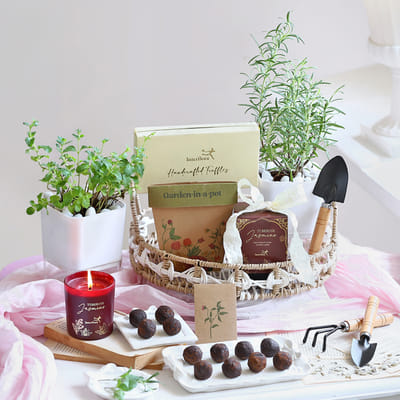 Buy/Send The Little Herb Garden Online | IGP | JVS1407523