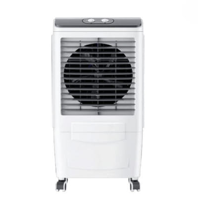 Buy/Send THUNDER COOL 40 a HC Online | IGP | JVS1413931