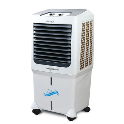 Buy/Send THUNDER COOL 90 a HC Online | IGP | JVS1413933