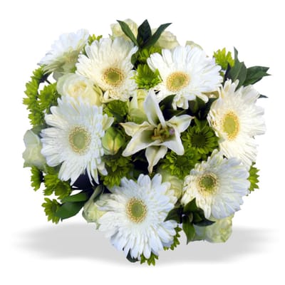 Buy/Send White Bunch LRG Online | IGP | ID1105112