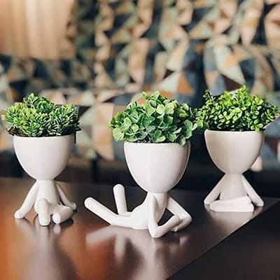 Buy/Send Yoga Planter - Assorted - Single Piece Online | IGP | JVS1273864
